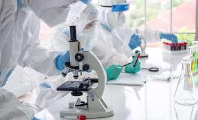 «El Trayecto Educativo de un Laboratorista: Cómo Empezar Rumbo a la ...